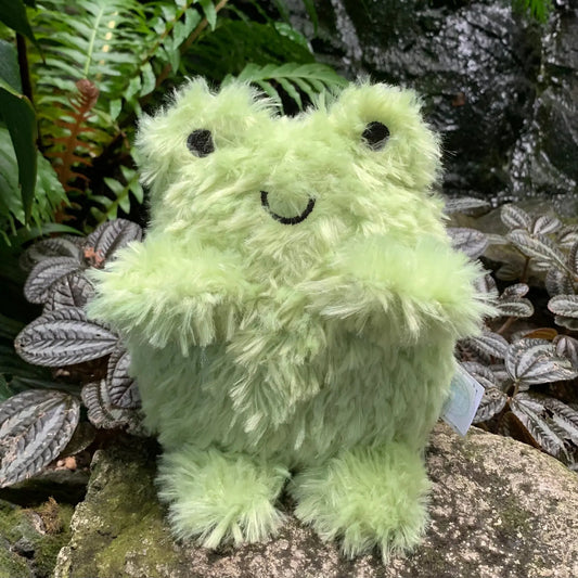 Emotional Regulation Tools – Squish Fiddle